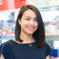 Salima Benbarche, PhD | Aplastic Anemia and MDS International Foundation (AAMDSIF)
